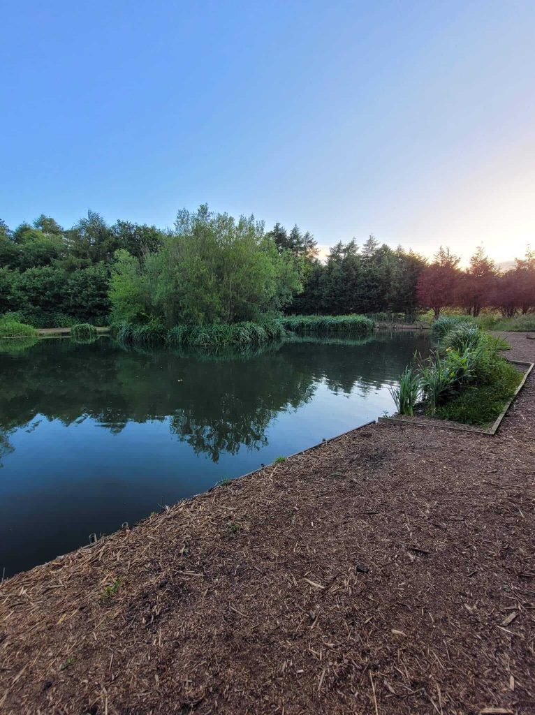 Tyersall Hall Pond – Fishing pond in Pudsey, England